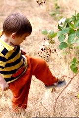Photo Its Not Karate Or Kung Fu Its His Blackberry Picking Technique