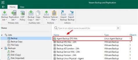 Backup ZFS File System