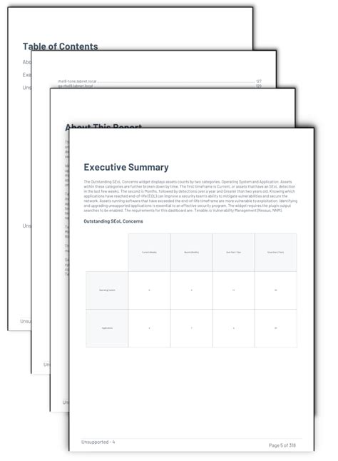 Unsupported Software Report Tenable Io Report Tenable