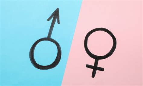 Alabama Attorney General Steve Marshall Files 22 State Amicus Brief In Support Of Floridas