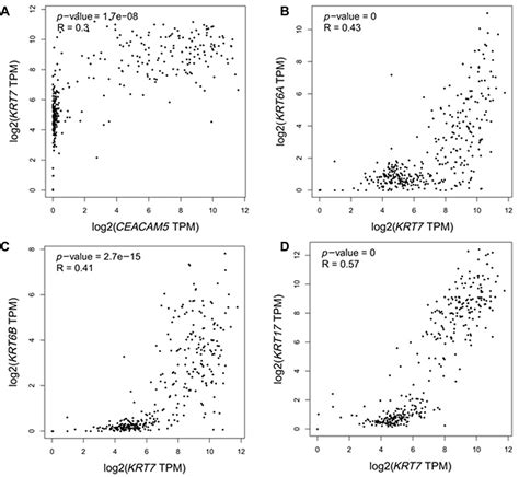 Identification Of Critical Pathways And Potential Key Genes In Poorly Ott