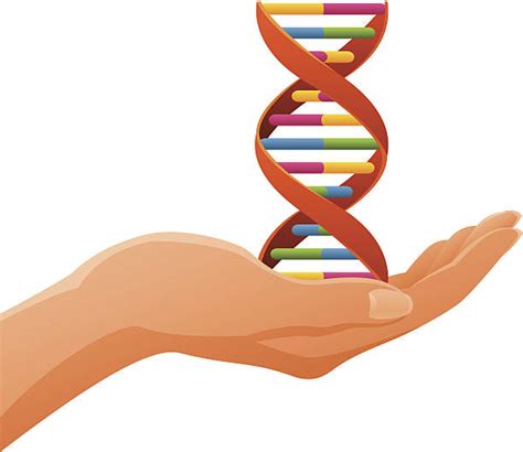Genetics Cartoon Drawing
