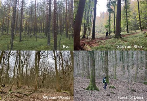 Oxford Forest Place Recognition Dataset Dynamic Robot Systems Group