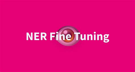 ner fine tuning a hugging face space by rajknakka