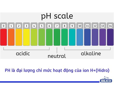 Công thức tính pH Cách tính pH ra kết quả chính xác