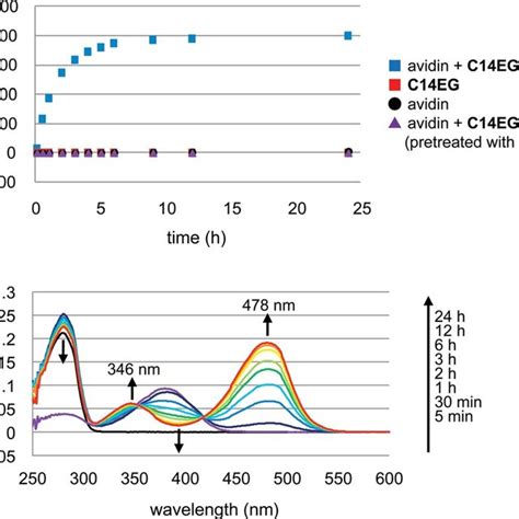 Kosuke Dodo Senior Researcher Phd Riken Wako Riken Aics