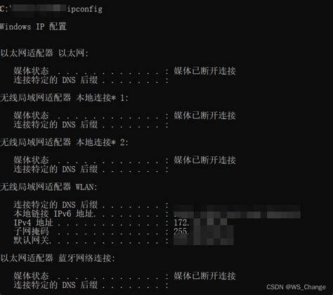 Vue运行项目报错Network unavailable idea network unavailable CSDN博客