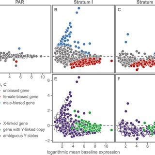 Ratios Of Median Expression Levels Of Sex Chromosomal And Autosomal Download Scientific