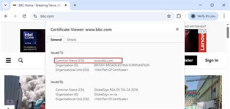 Standard Ssl Vs Wildcard Ssl Certificate Compare Ssl Type