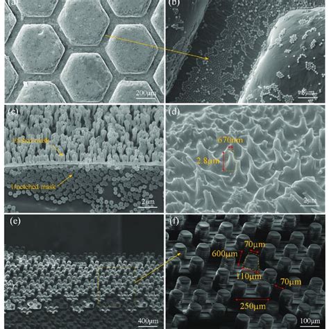 Morphology Of The Hierarchical Structures A A Hexagonal