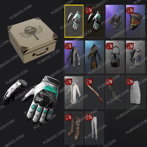 Pubg Cyber Rabbit Special Crate Buy Pubg Skins Codes And Account