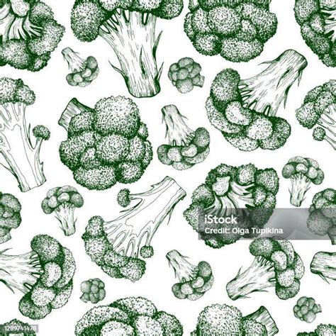 브로콜리 그린 윤곽 은 흰색에 고립 된 다채로운 신선한 야채 원활한 패턴 0명에 대한 스톡 벡터 아트 및 기타 이미지 0명 건강한 생활방식 건강한 식생활 Istock