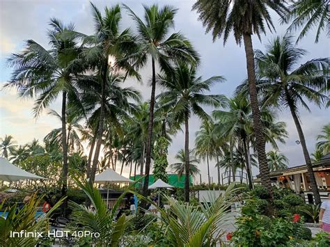 Infinix Hot Pro Review Free Fire Edition Budget Gaming Royalty