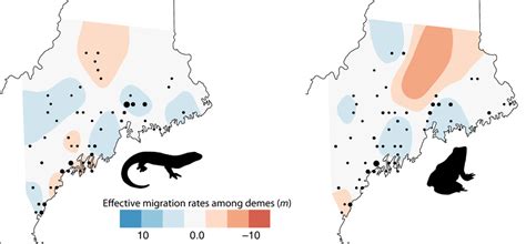Spatially Heterogeneous Effective Rates Of Migration Among 54 Spotted Download Scientific
