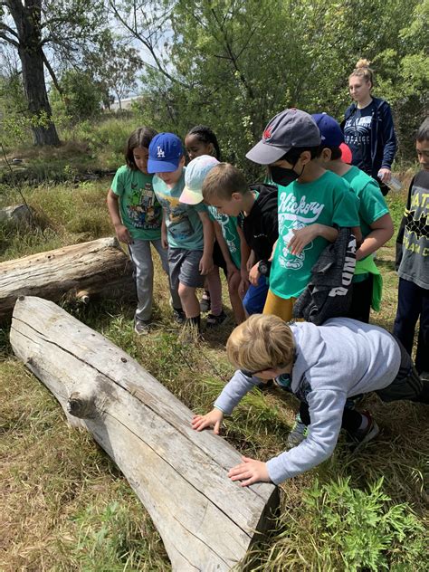 About Us Friends Of Madrona Marsh