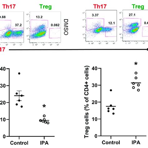 Ipa Presence During T Cell Polarization Decreases Th17 Cells And Download Scientific Diagram