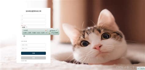 Springbootvue宠物医院管理系统【开题程序论文】基于springbootvue的宠物管理系统的设计与实现论文 Csdn博客