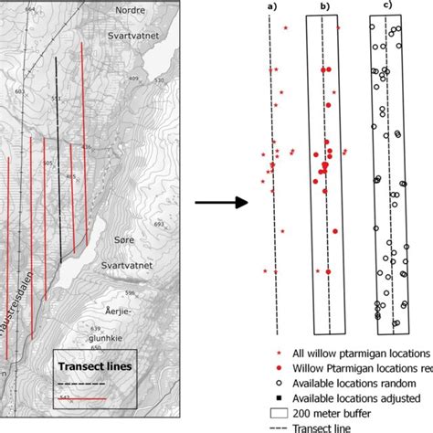 Example Area With Transect Lines Observations And Random Locations To Download Scientific