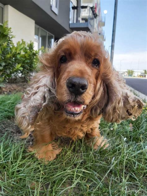 I Wont Cut My Hair It Wont Be Summer It Will Be Winter D