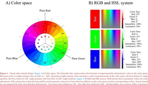 Figure 1 From Reconstructing Sources Location Of Visual Color Cortex By