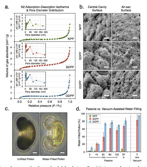 Figure 3 From Macromolecular Microencapsulation Using Pine Pollen Loading Optimization And