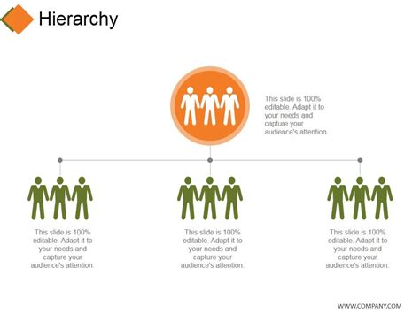 Hierarchy Ppt Powerpoint Presentation Ideas Backgrounds