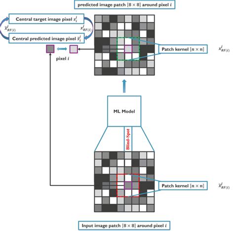 Proposed Deep Learning Denoiser Network Download Scientific Diagram