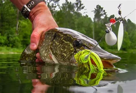 Pico Pikes Fotos Baixe Imagens Gratuitas Na Unsplash