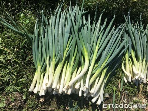 蔥蔥回魂麵辣攻腦門「三秒才驚醒」！鐵嗓蕭敬騰每次出國必帶 Ettoday旅遊雲 Ettoday新聞雲