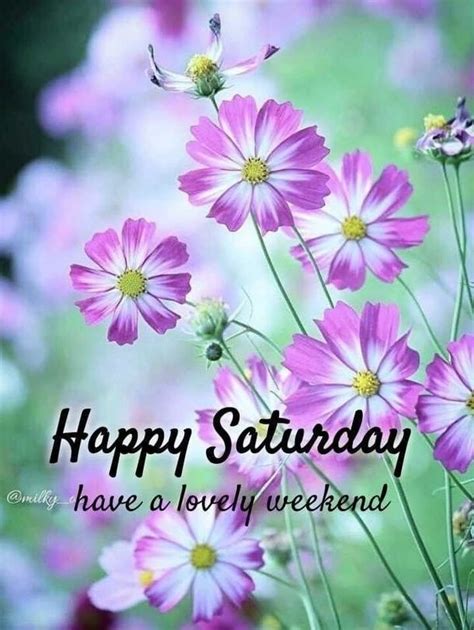 10 Happy Saturday Inspirational Quotes Full Of Happiness And Sunshine