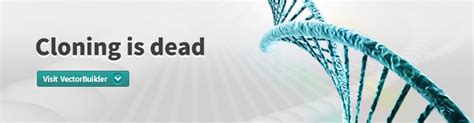 Vectorbuilder Revolutionize Your Cloning Experience Order Your