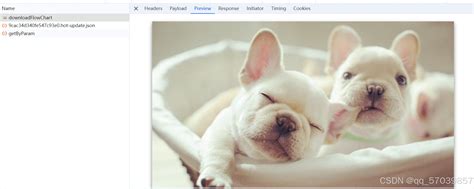 后端接口返回图片，前端的处理方法 Csdn博客