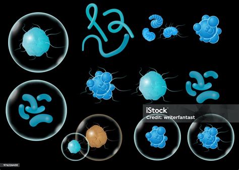 박테리아와 세균 세트 질병을 일으키는 미생물 개체 종류 박테리아 바이러스 벡터 일러스트 레이 션 검은 배경에 고립 건강관리와 의술에 대한 스톡 벡터 아트 및 기타 이미지