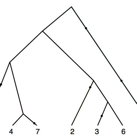 An Example Of A Coalescent Tree With Mutations For 7 Observed Sequences Download Scientific