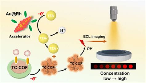 High Performance Electrochemiluminescence Imaging Immunosensor For