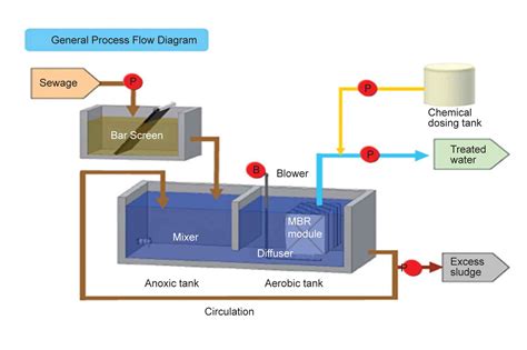 Bioreactor Process