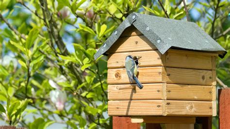 野鳥を呼ぶお庭をつくろう 外構工事ガーテリア