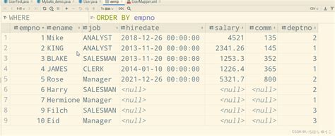 用mybatis框架实现增删改查 Csdn博客