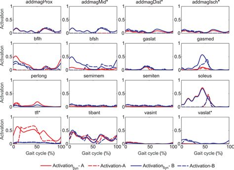 Activations Reconstructed From Synergy Components Activation Syn In Download Scientific