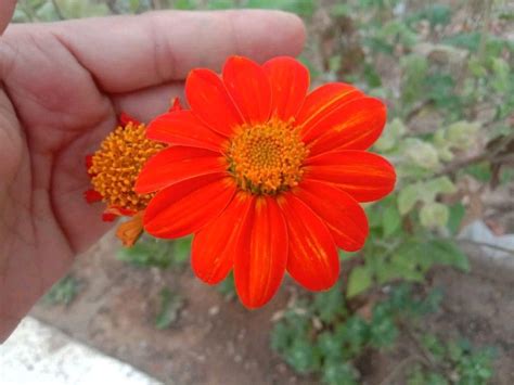 Pravin Pagare On Linkedin Life Is A Wonderful Journey It Has Fun Frolic Adventure Falls