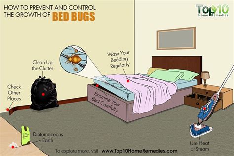 How To Prevent And Control A Bed Bug Infestation Bed Bugs Bed Bugs