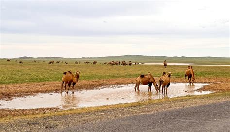 Монгол 10 ХОНОГИЙН ЦАГ АГААРЫН УРЬДЧИЛСАН МЭДЭЭ 2025 оны 05 дугаар сарын 31 нээс 06 дугаар