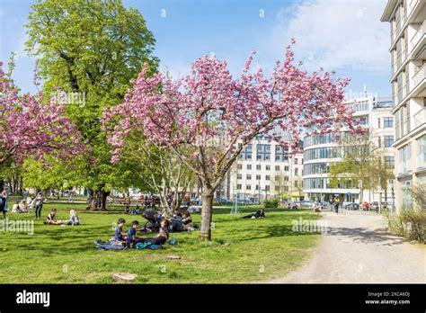 Berlin Germany 02 April 2024 Spring In A Berlin Park People Had A