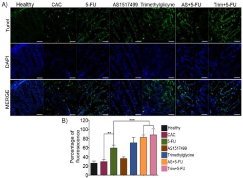 Use Of Stat6 Phosphorylation Inhibitor And Trimethylglycine As New