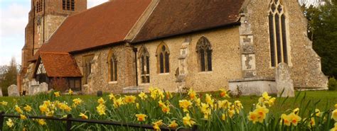 Love Your Springfield All Saints Springfield