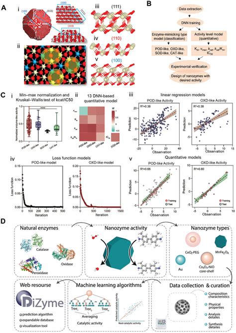 Computer‐aided Design Of Nanozymes A I The Structure Of The Download Scientific Diagram