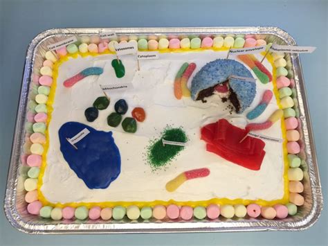 Plant Cell Cake Ideas With Candy At Sara Wallen Blog