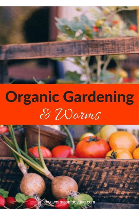 Diy Vermicomposting Made Easy Artofit