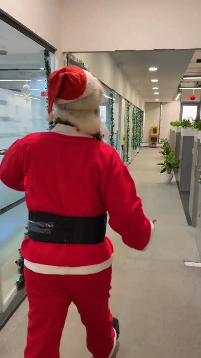 Jash Gadhvi On Linkedin Merrychristmas Happyholidays Wearevedlogic