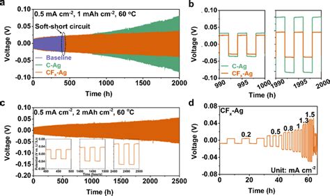 Electrochemical Performance Of The Li Platingstripping In Symmetric